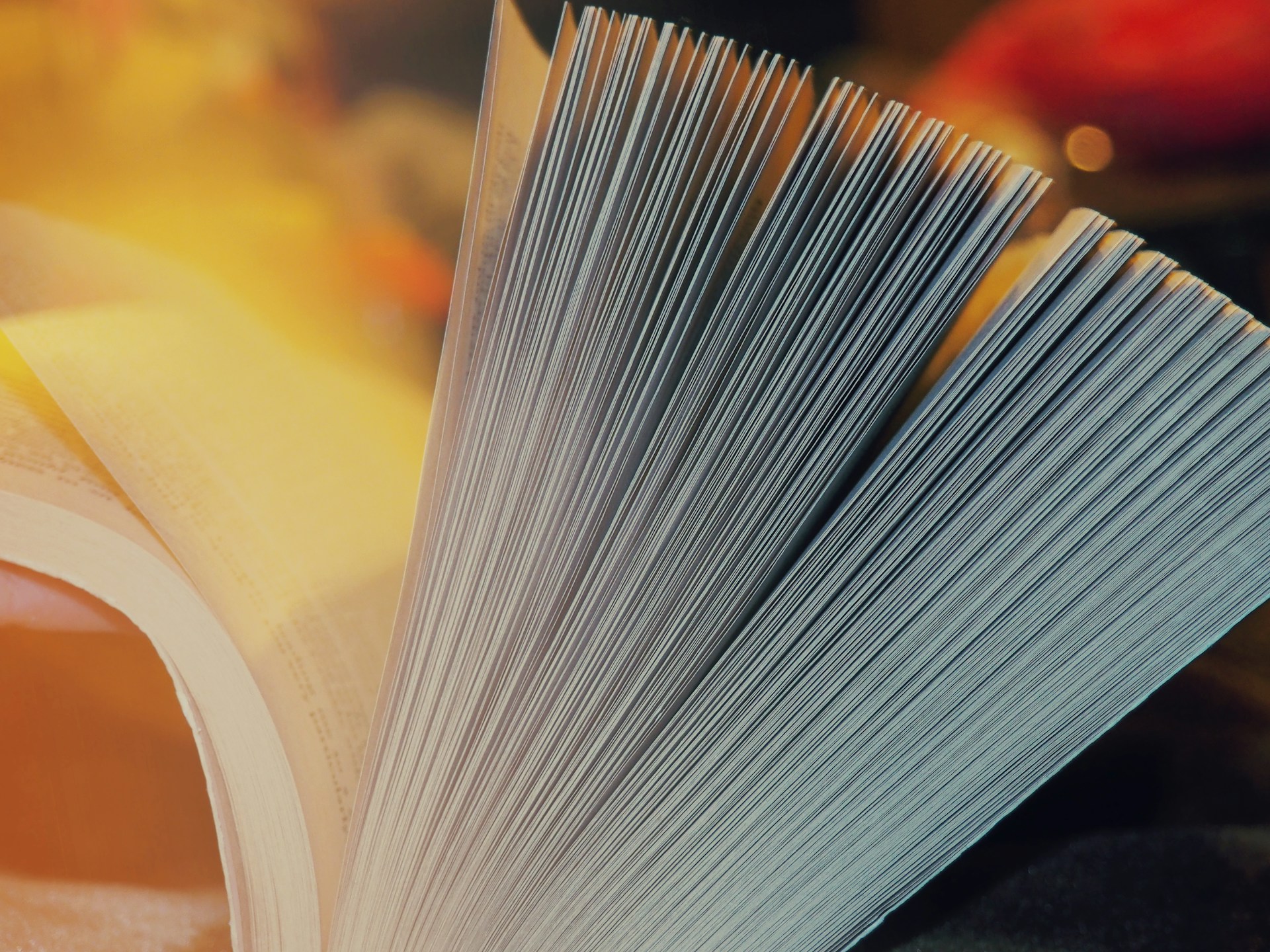Excalibur Press Publishing Packages - Excalibur Press